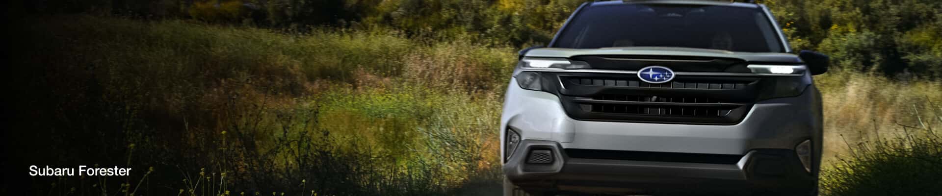 Subaru Forester Towing Capacity: Haul With Confidence