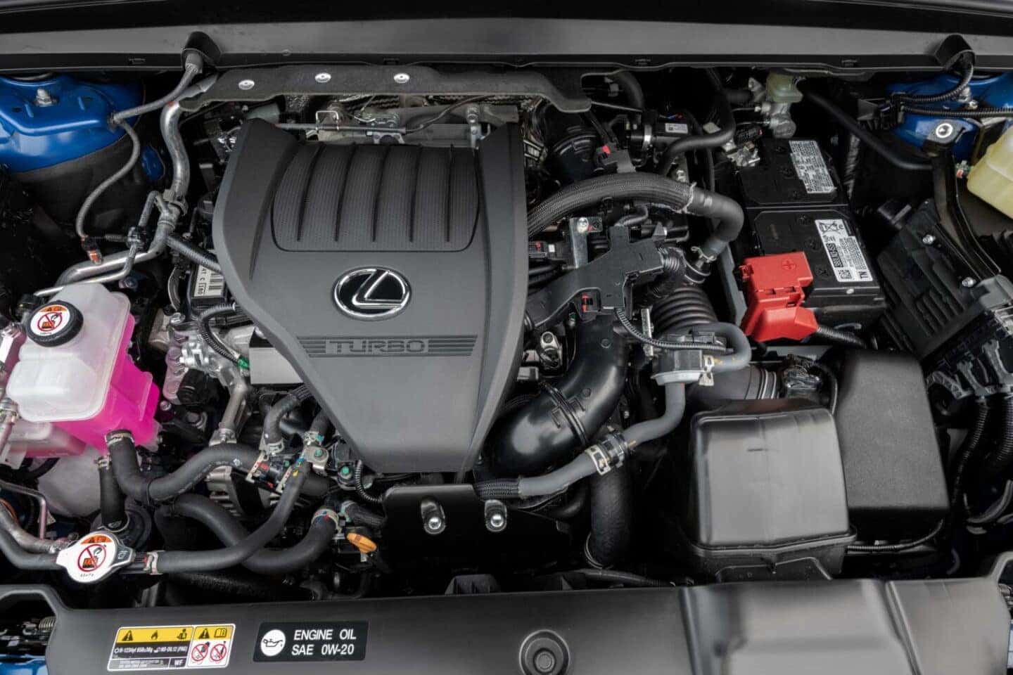Lexus RX Trim Level Comparison Guide | Treasure Coast Lexus
